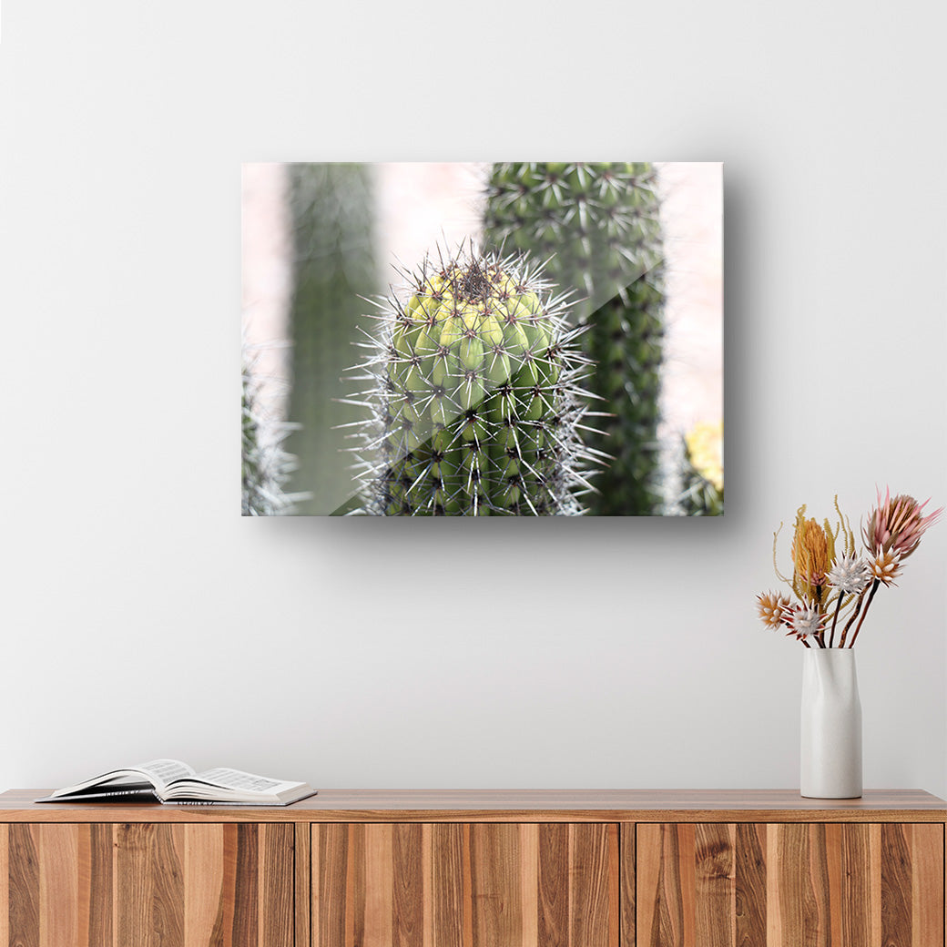 Cuadro decorativo de Cactus – balcru